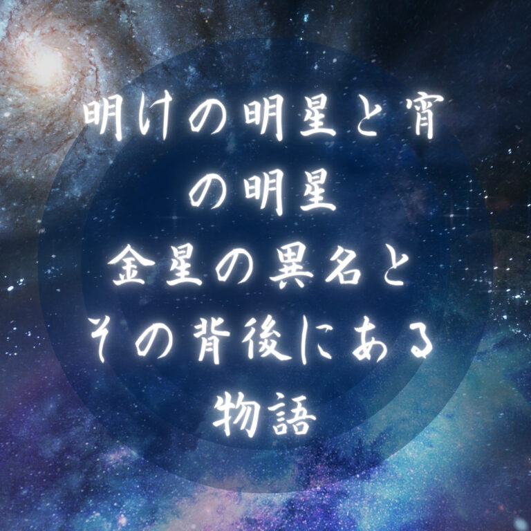 NMP完全解説：手続きから注意点まで、全てを網羅 | Hs--press