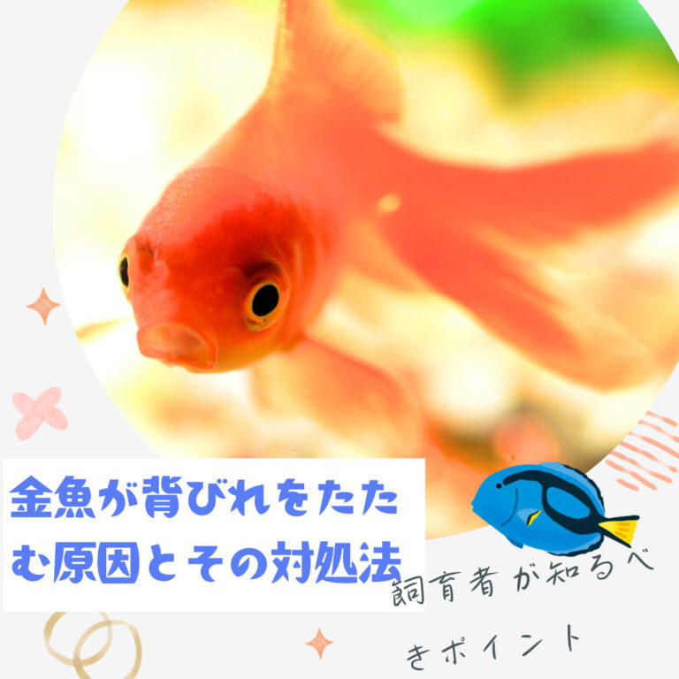 NMP完全解説：手続きから注意点まで、全てを網羅 | Hs--press