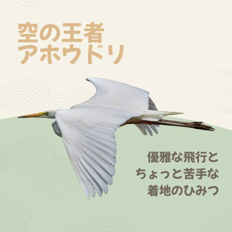 NMP完全解説：手続きから注意点まで、全てを網羅 | Hs--press